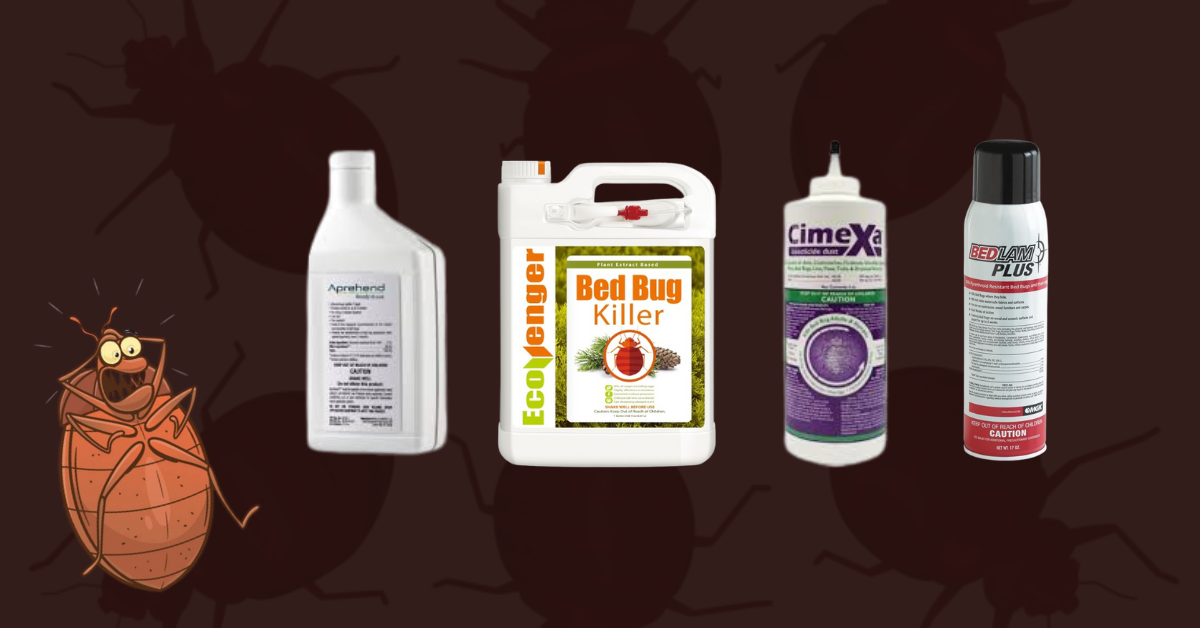 9 Best Bed Bug Treatment That Actually Works In 2025 (Tested & Reviewed ...